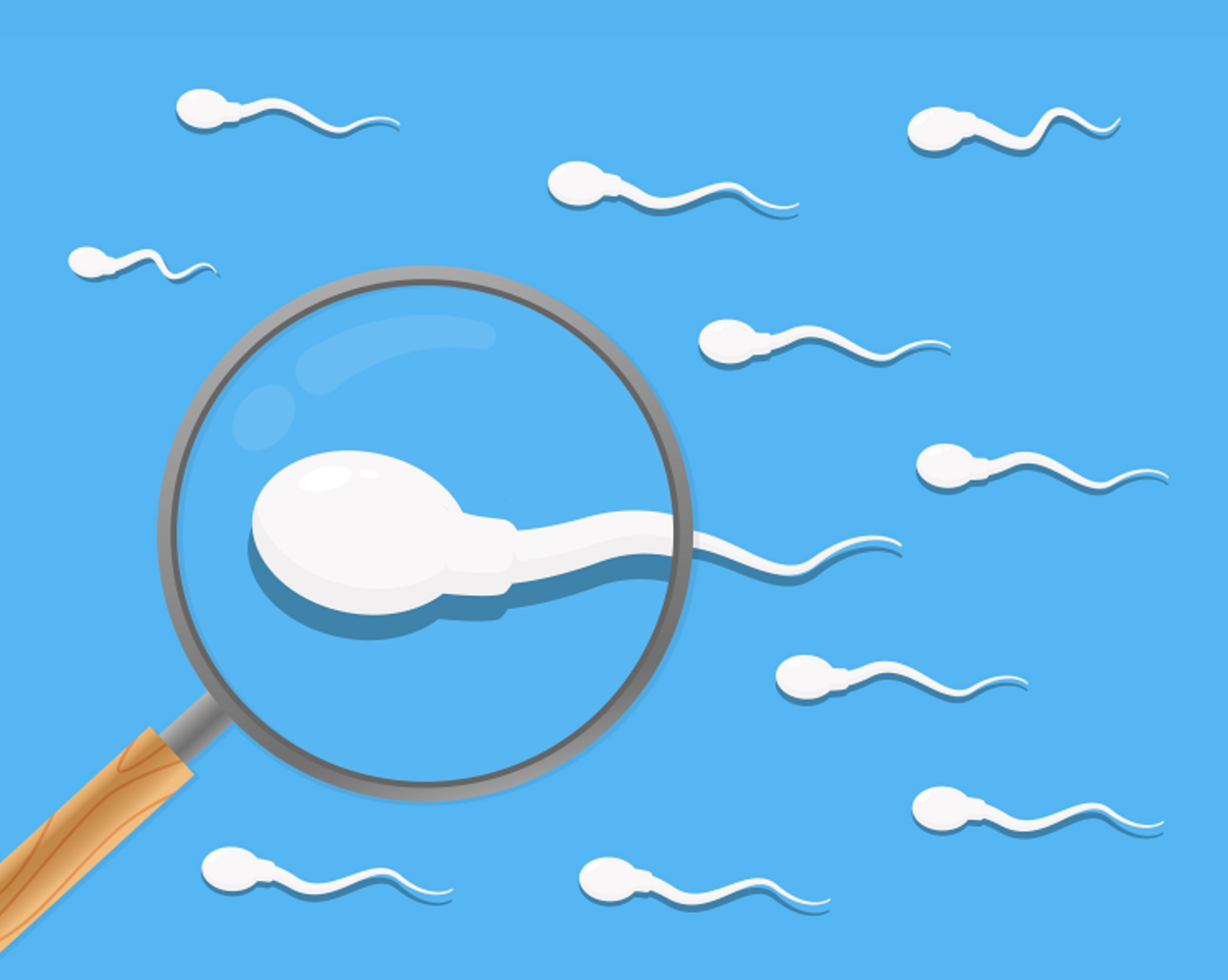 Ako zlepšiť kvalitu spermií, zvýšiť šancu na počatie a čo všetko odhalí ...